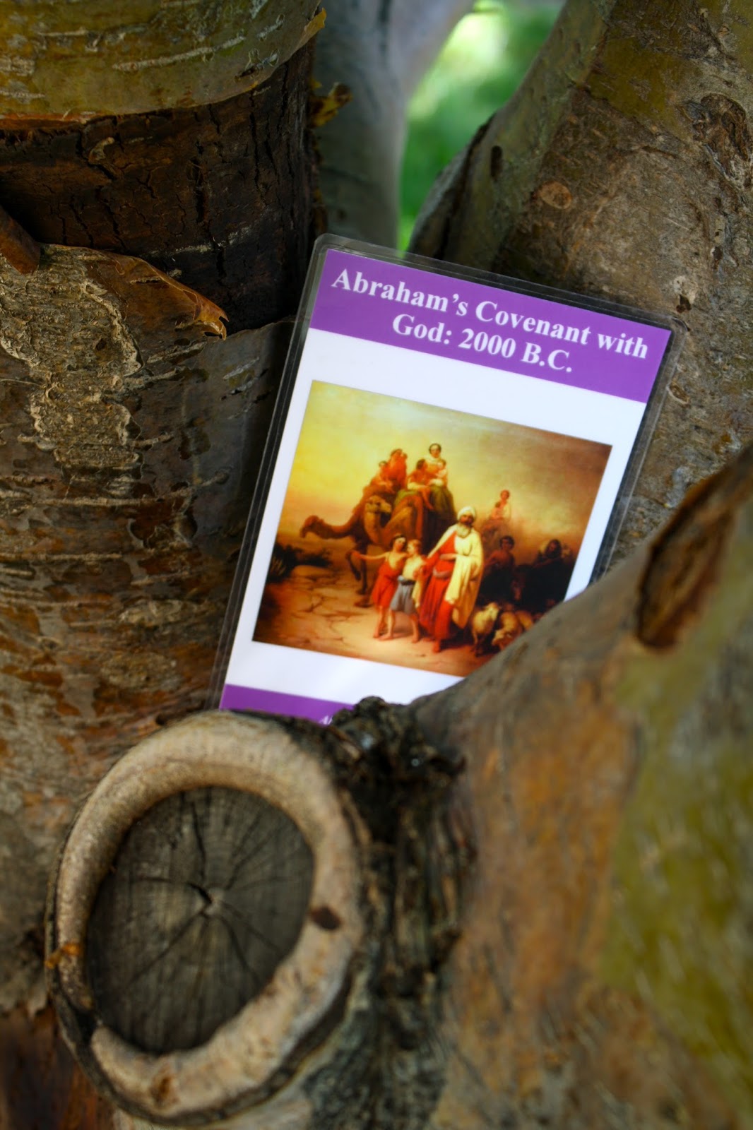 18 Timeline Games and Activities for Classically Catholic Memory or ...