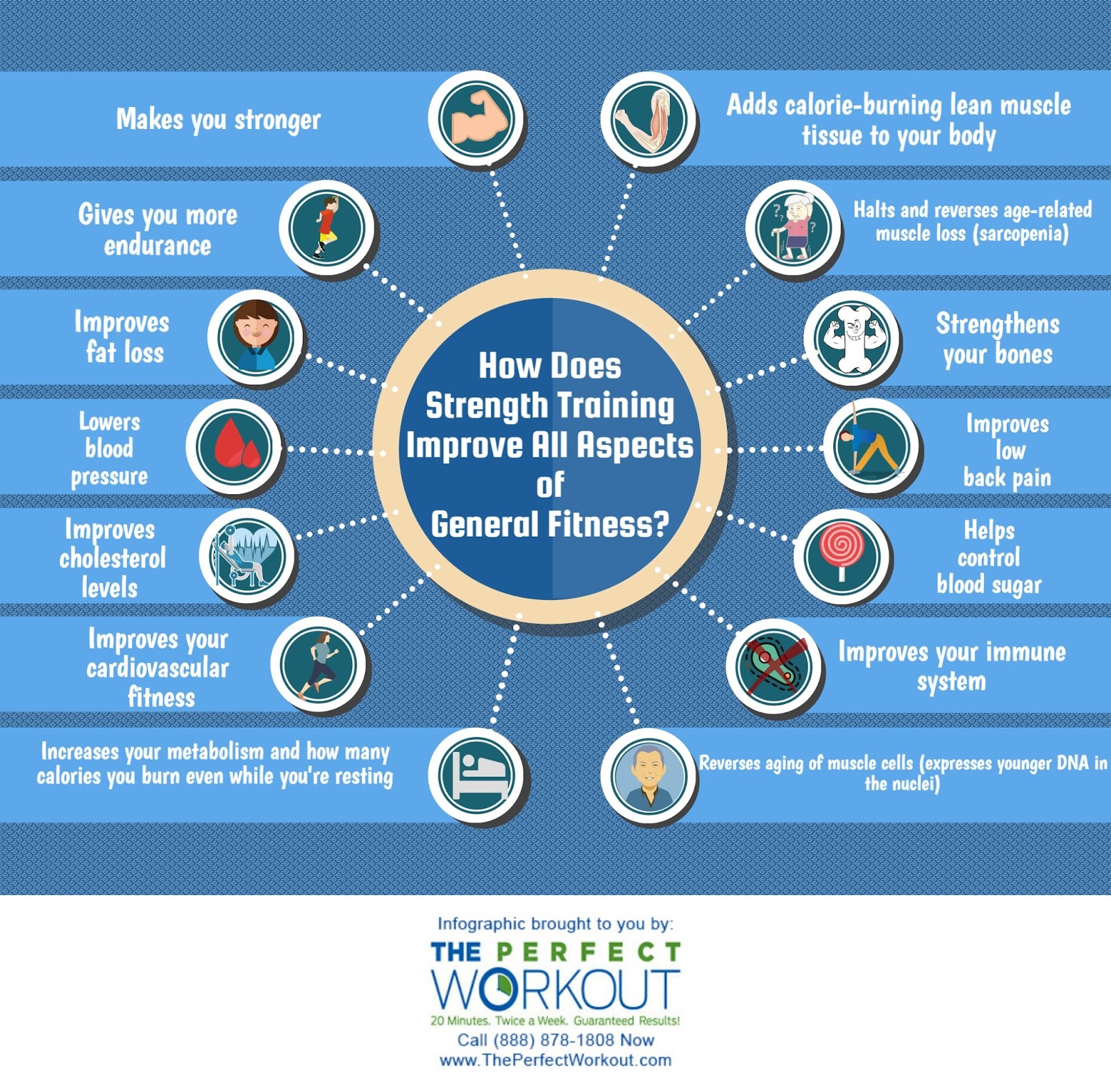 The Perfect Workout Wilmette