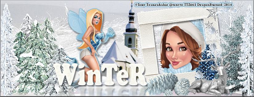 LadyDragus Art: Frosted Winter Snags and Freebie TimeLine Banner