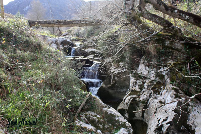 VIVIR EL AIRE LIBRE: COVADONGA - ORANDI