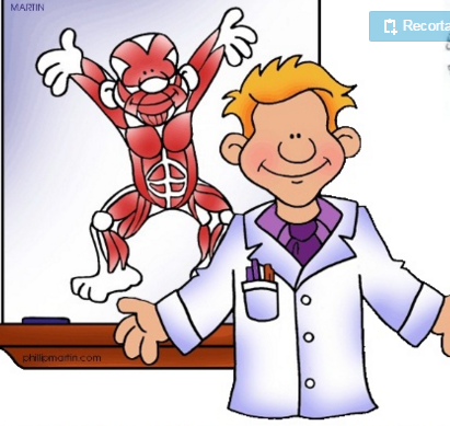 SAN CRISTÓBAL - PRIMARY 3 (Teachers Encarna&Rocío): How my Body Works PPT