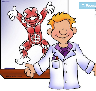 SAN CRISTÓBAL - PRIMARY 3 (Teachers Encarna&Rocío): How my Body Works PPT