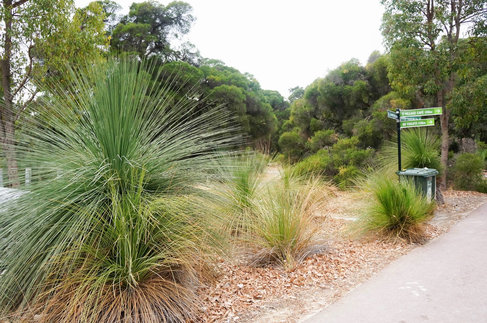 Independent Me !!!: Caversham Wildlife Park - Perth