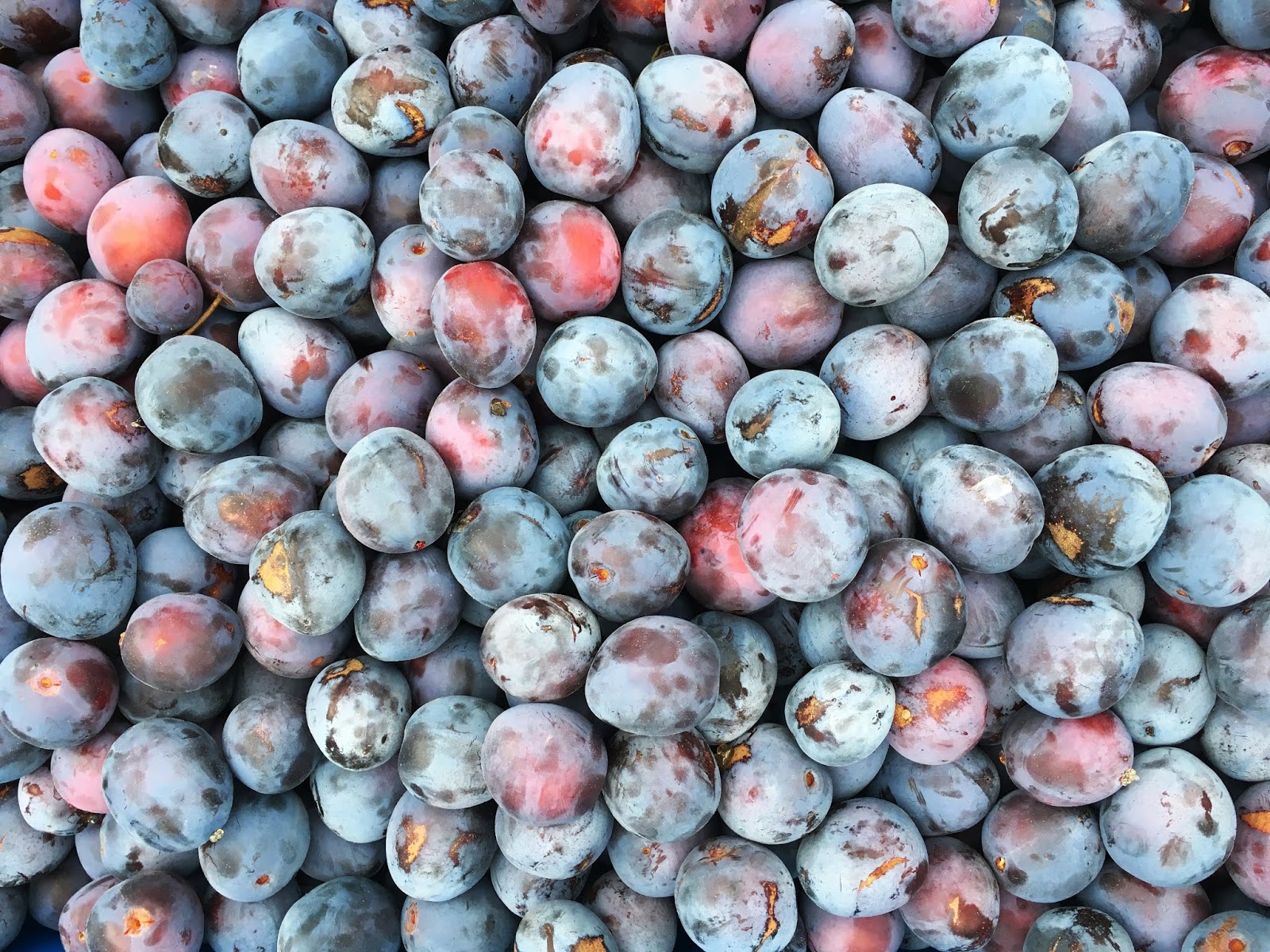 .jazzino.: Martsipani ja mandlitega ploomi-õunakook