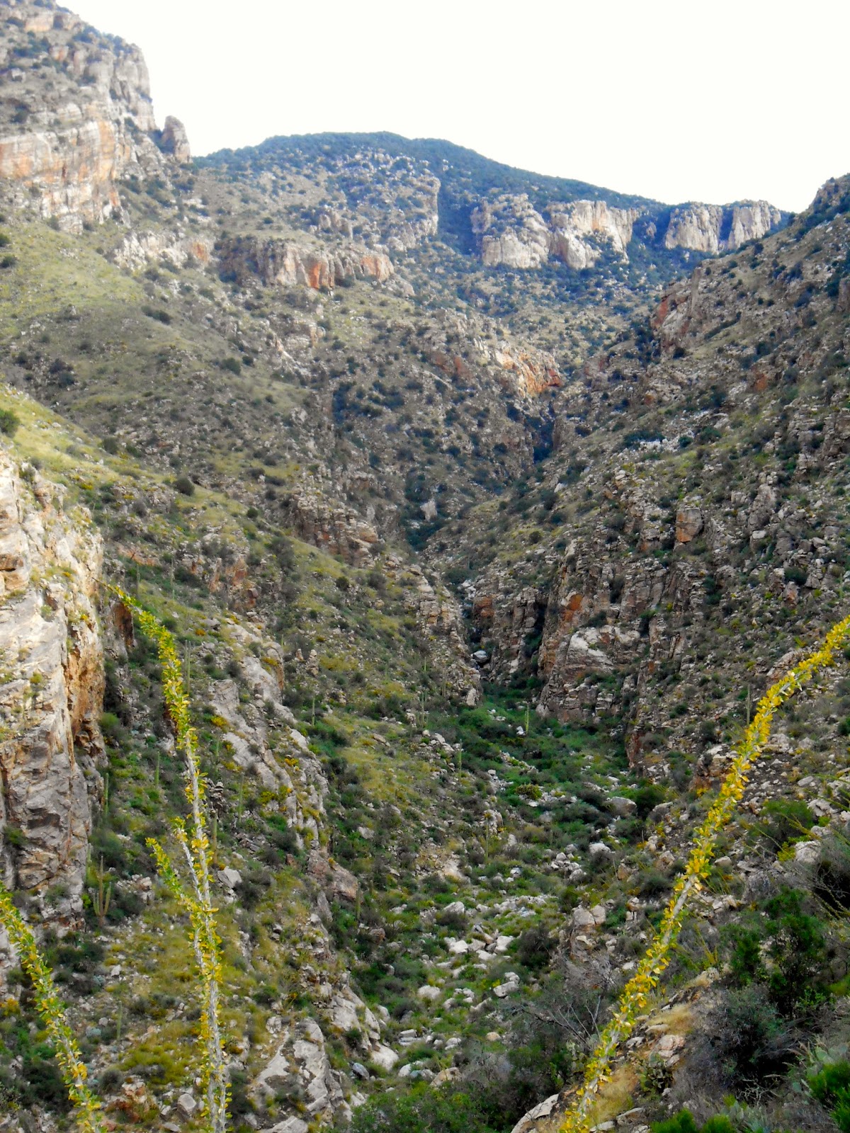 Conquering Mt. Kimball - Saving Time in a Bottle