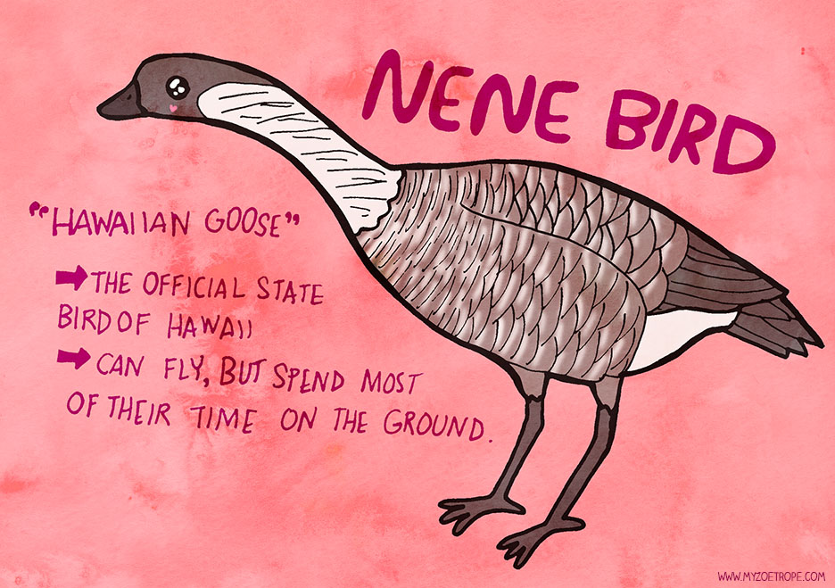My Zoetrope: 179: Nene Bird