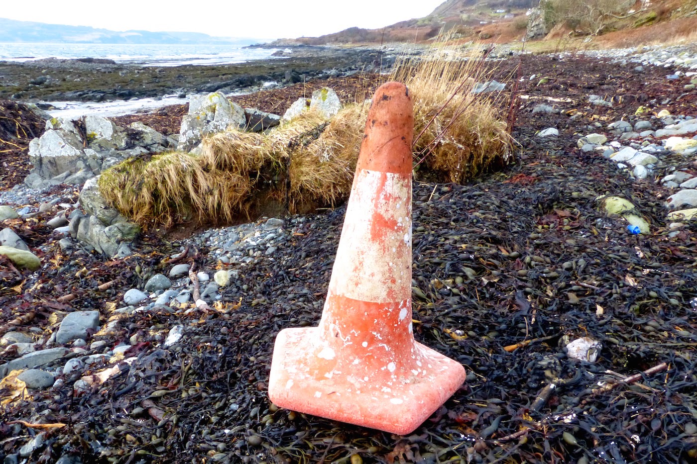 A Kilchoan Diary: Seaware