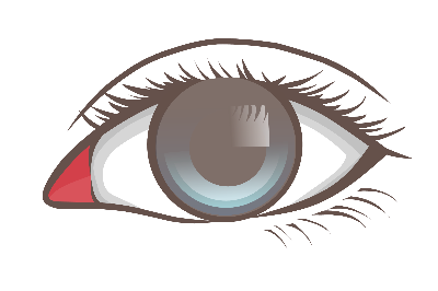 Tutorial Vector Mata dengan Infinite Design (Part 1) - Walangungu