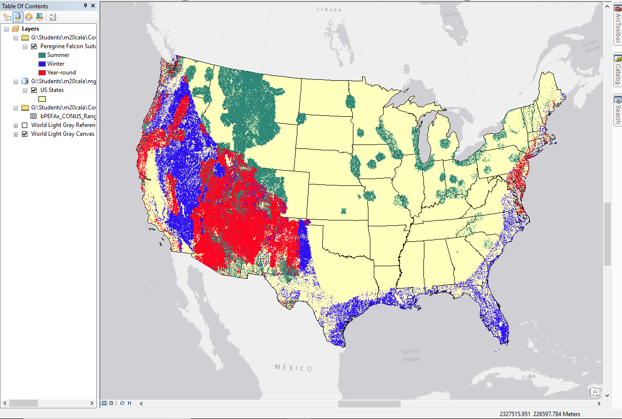 Peregrine Falcon Habitat and Migration