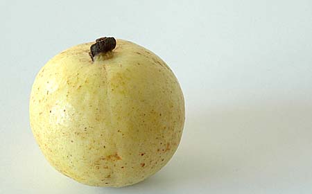 Guava(Jamfal) Fruit Photos Download