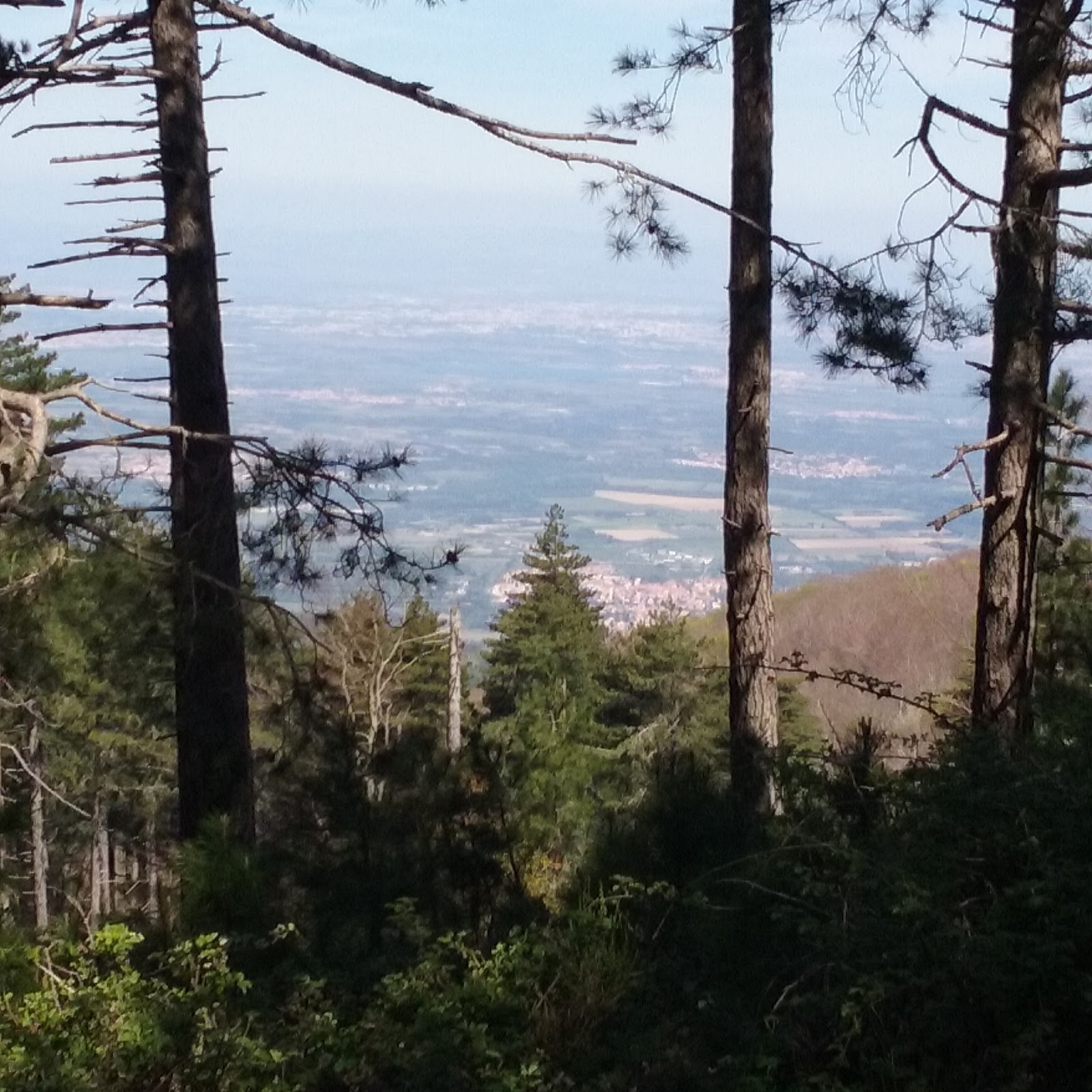balades en Occitanie et Pays Catalan: Puig Neulós