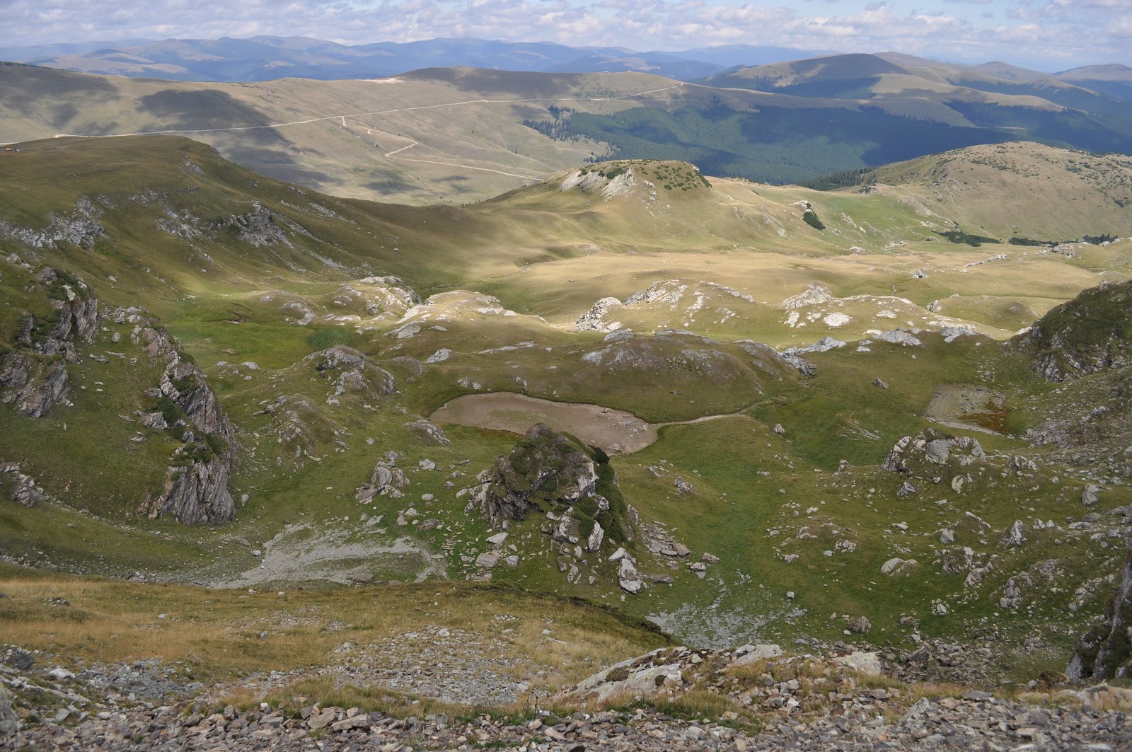 Poze, Natura, Animale, Plante, Romania, Valcea, Ionut Ungureanu