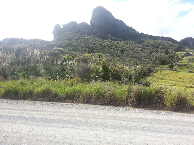 Mangonui School: Tuatara climb Taratara