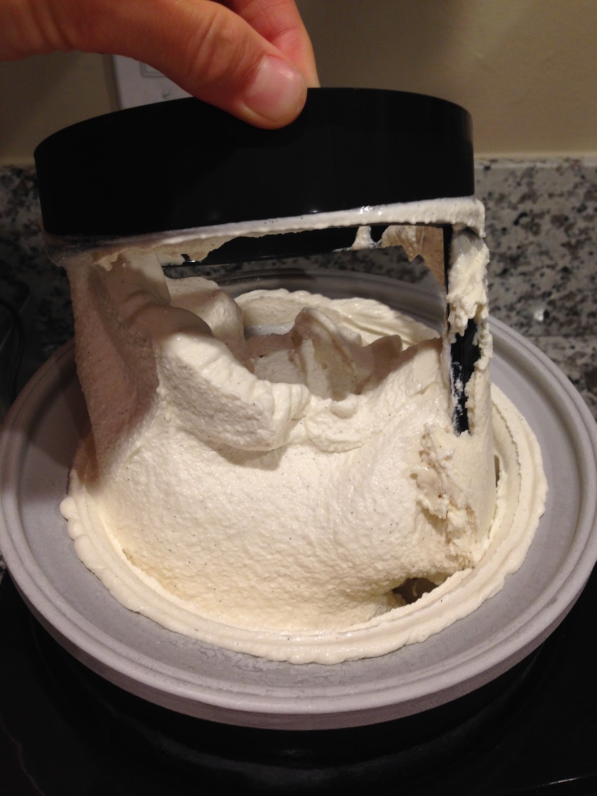 Filling in the Gaps: GAPS Coconut Milk Vanilla Bean Ice Cream