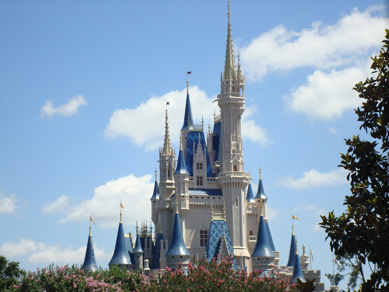 Earthbound McMouse: Top 25 Walt Disney World Attractions: #25