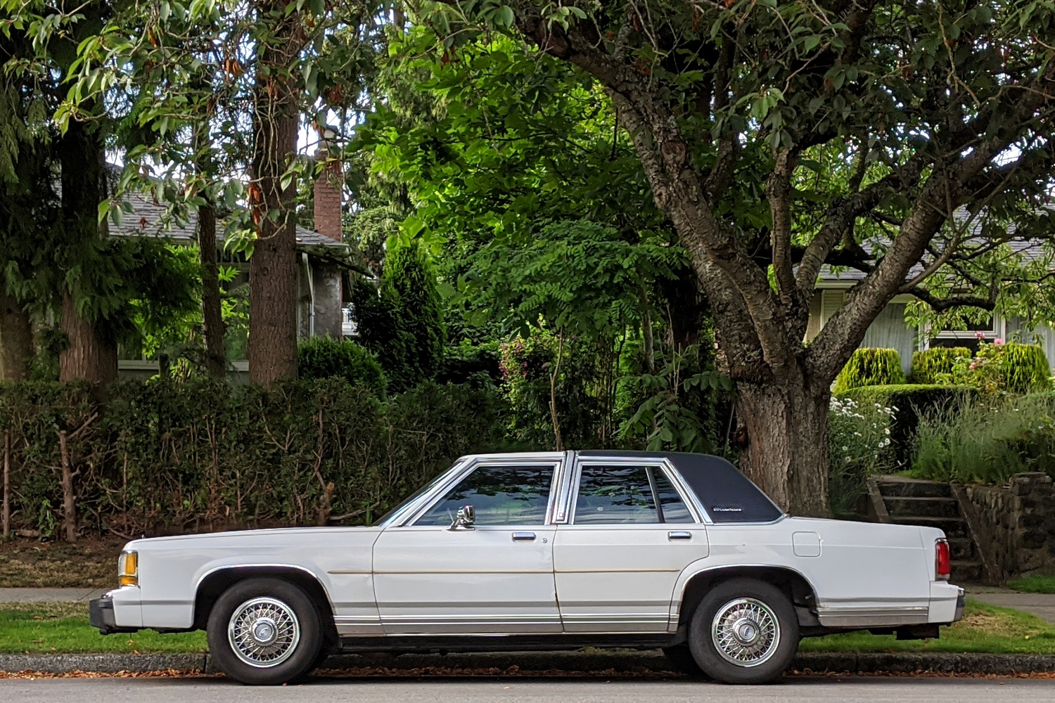 Old Parked Cars Vancouver: 1988 Ford LTD Crown Victoria