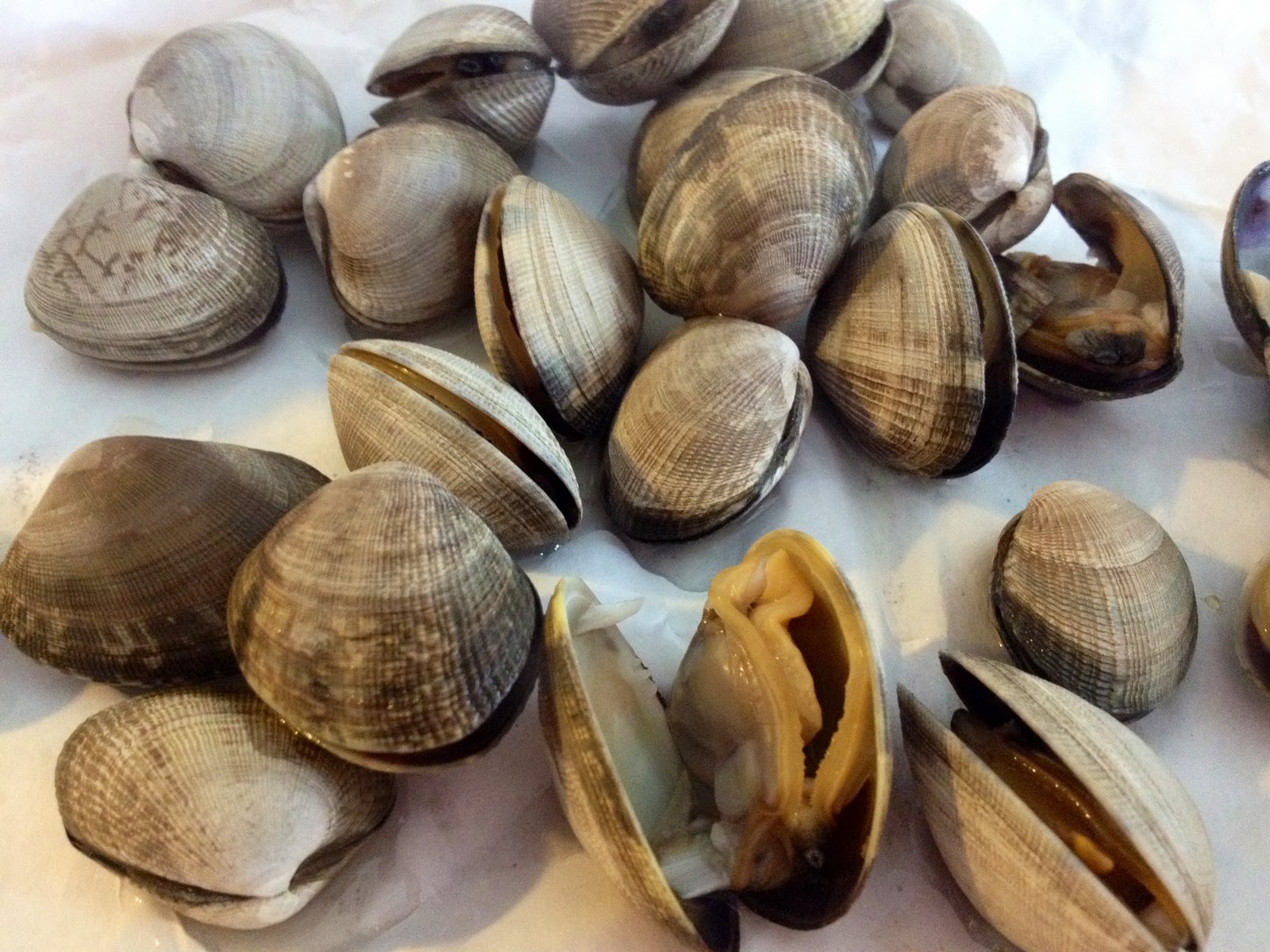 Sweet Bon Vivant: New England Clam Chowder