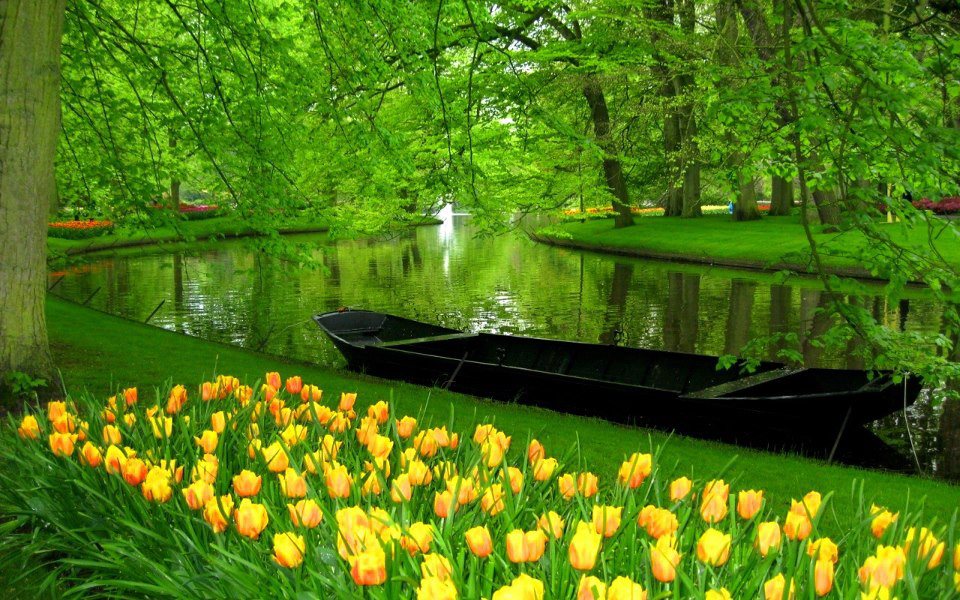 Nature Scenery: Pictures Of Beautiful Sceneries Around The World