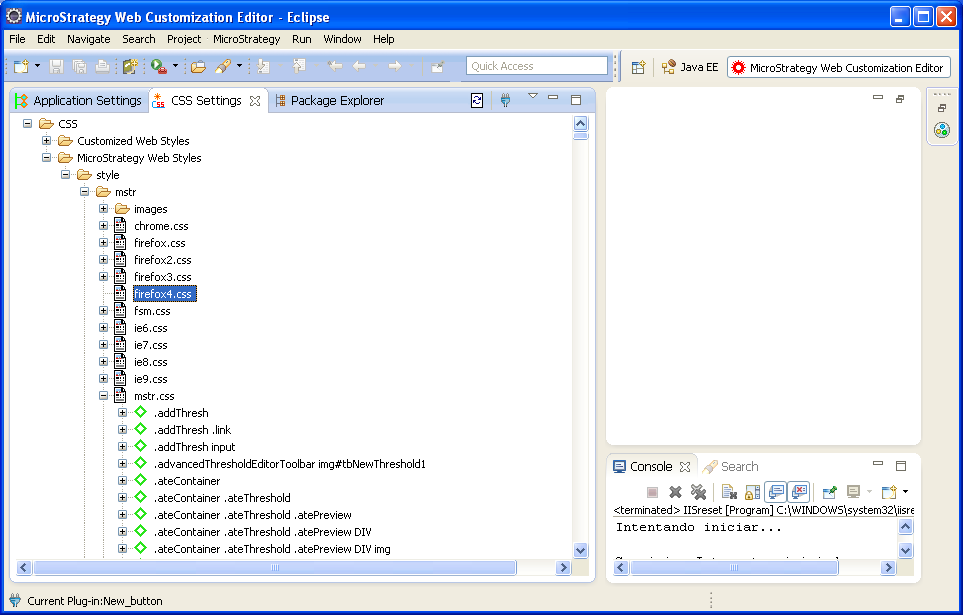 MicroStrategy Web Customization