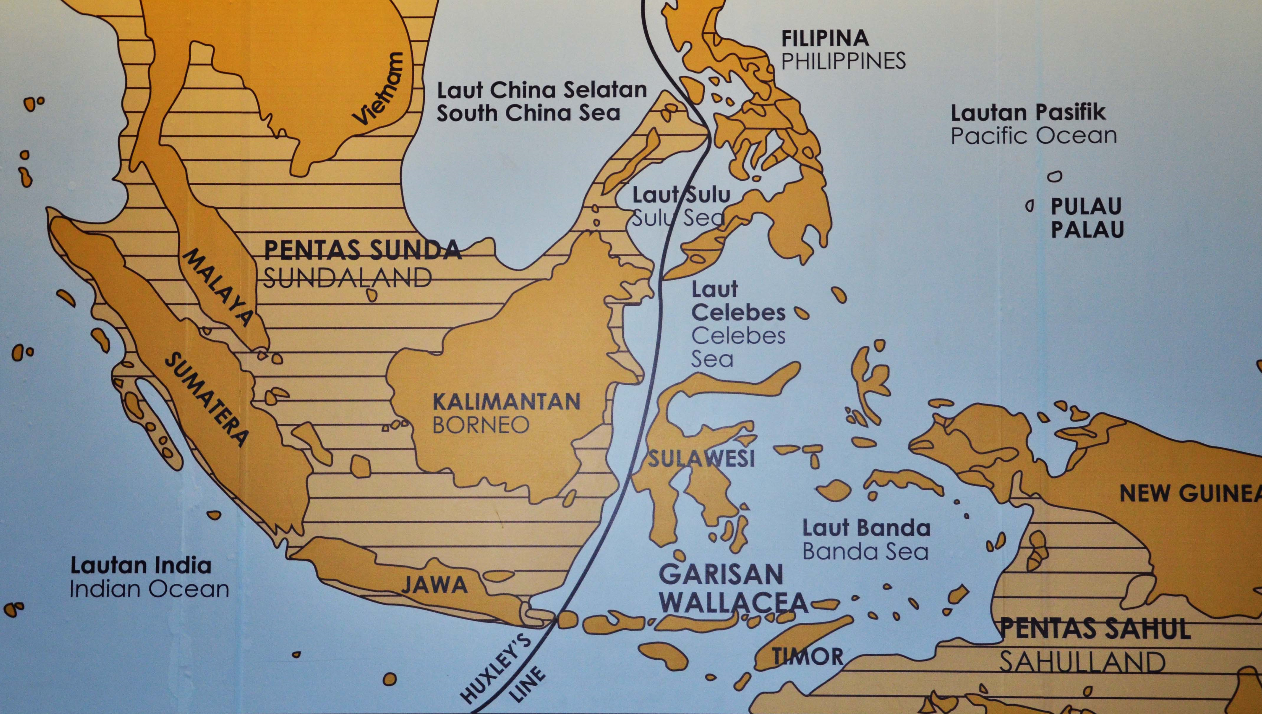 Sejarah Munculnya Kepulauan Indonesia - Guru Geografi