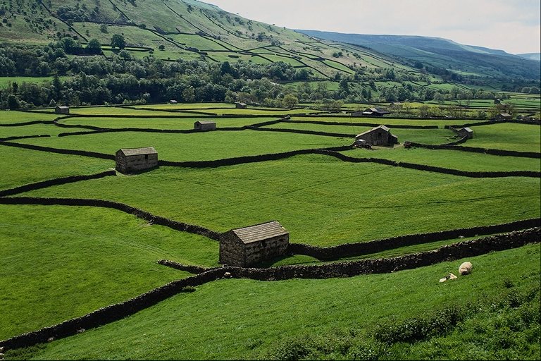 Free wallpapers: nature pictures gallery