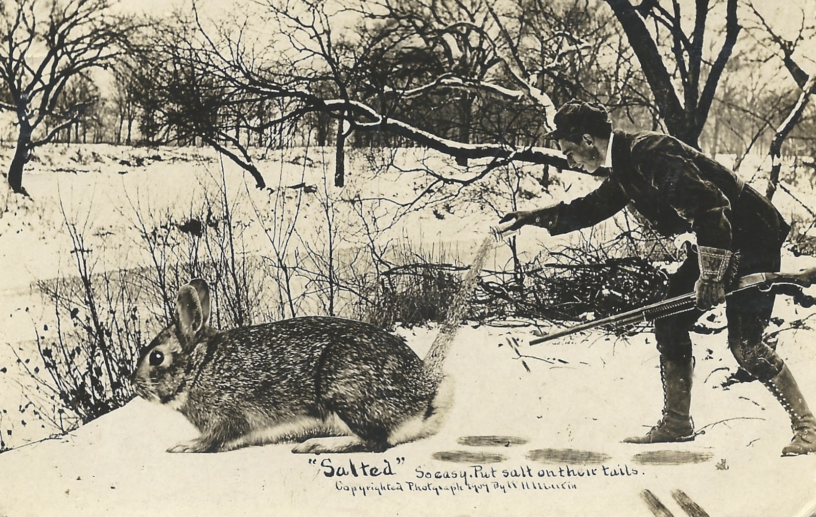 My Favorite Postcards: Three Exaggeration Postcards from William H. Martin