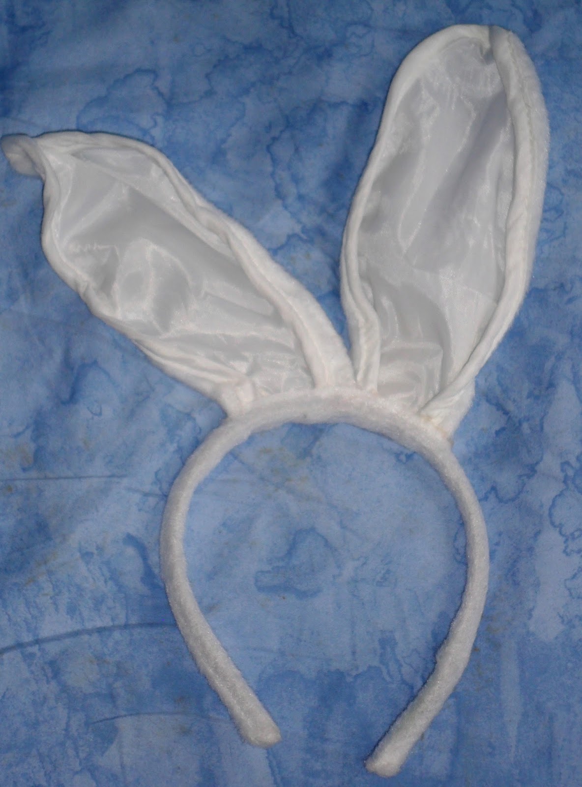 Beyond the Book Storytimes: The Tortoise and the Hare and Fats Domino