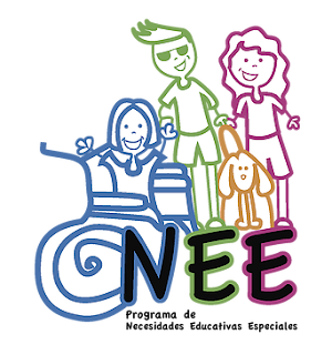 Técnico En Educación : ¿Que Significa NEE?