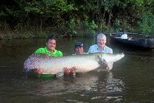 THE FISHING NEWS: Guyana Monster Arapaima on the Fly