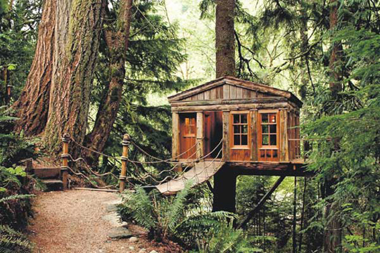 Suburban Camping Co.: living in the trees! {amazing treehouses}