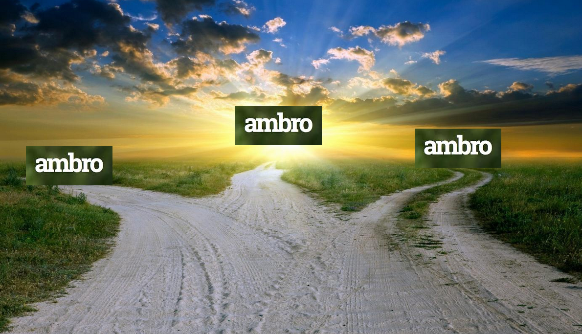 Ambro vs. the World