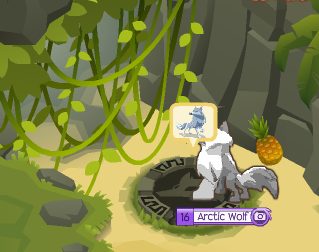 The Animal Jam Whip: A Guide to Tiki Trouble
