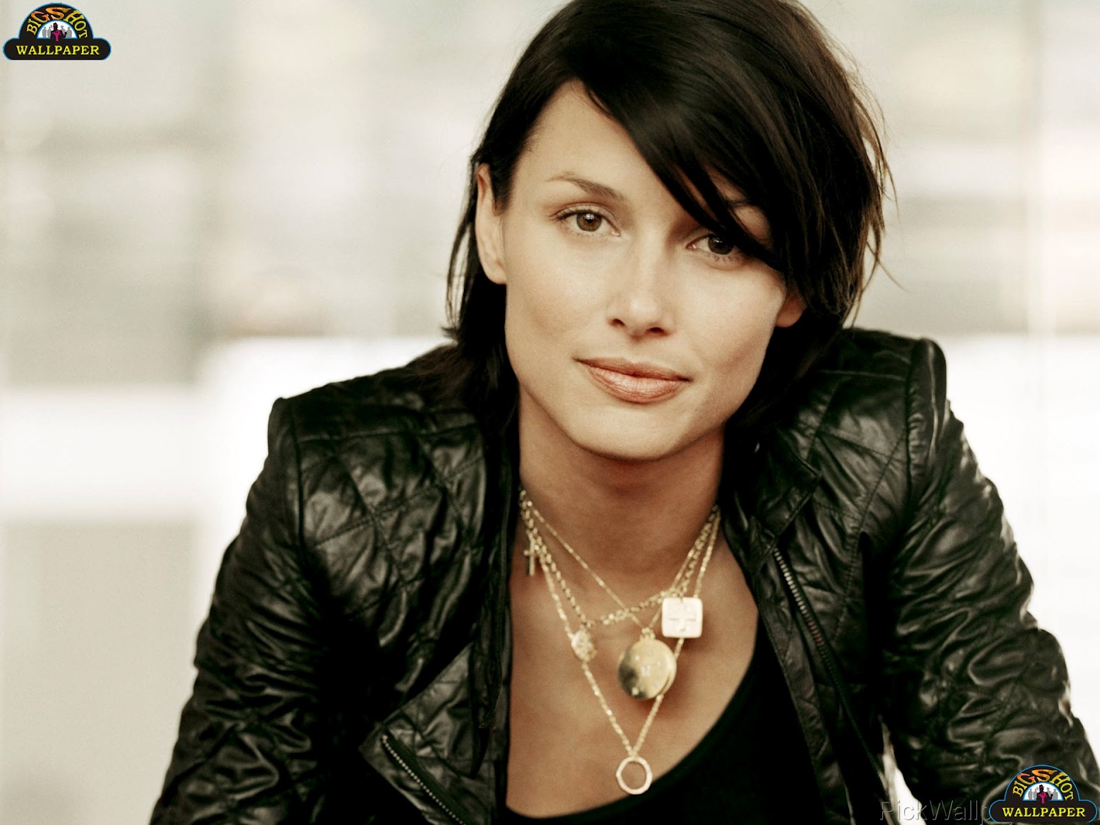 wallpaperstopick: Bridget Moynahan