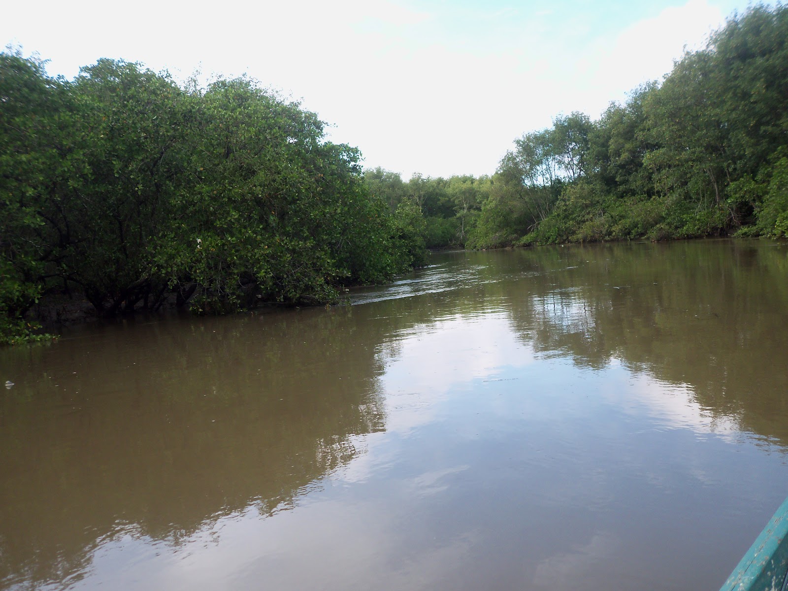 " P.e.a. P. " Pesca entre amigos de Piabetá
