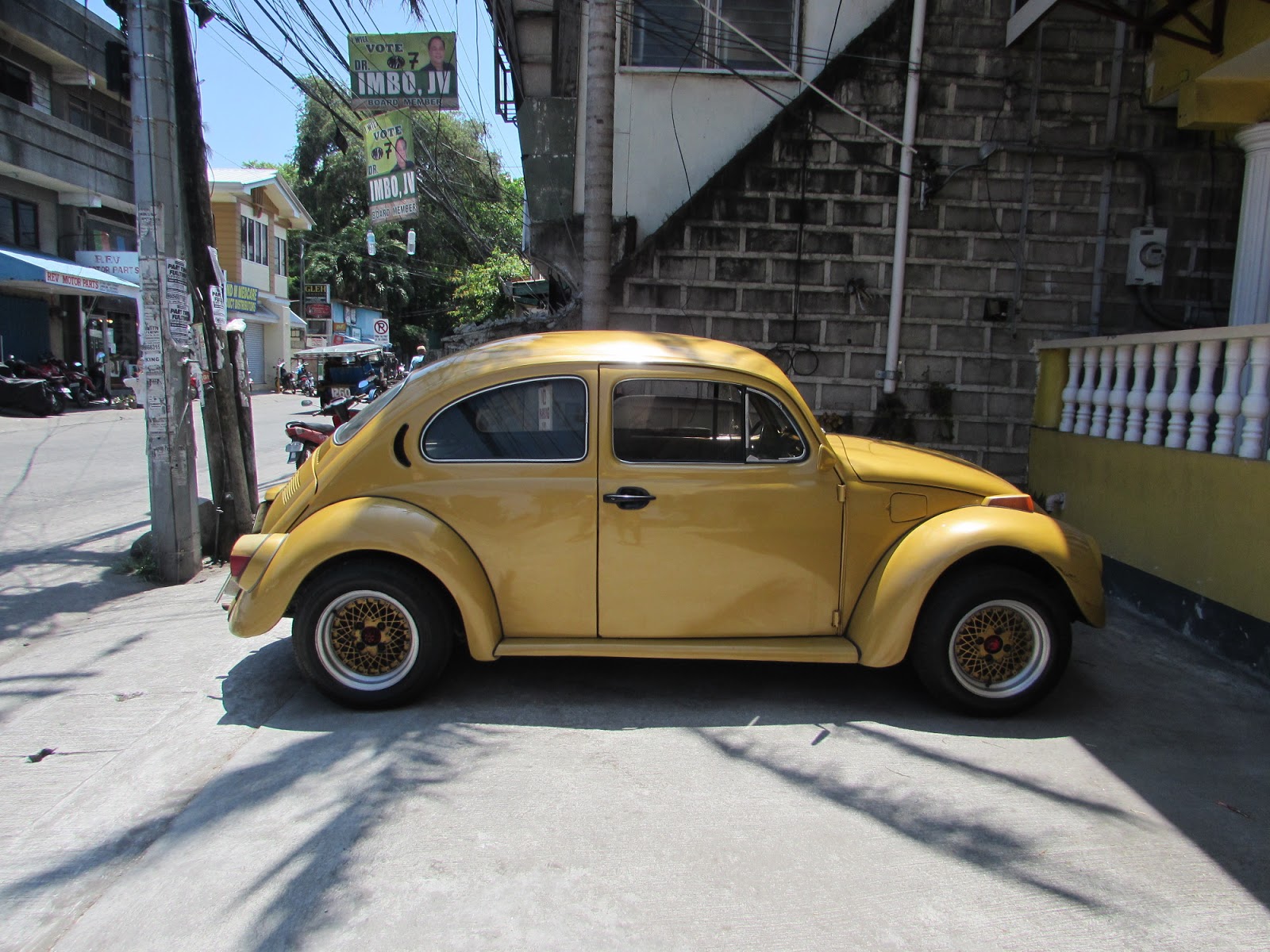 Sorry,all the clever names are taken.: The Mustard Colored Beetle