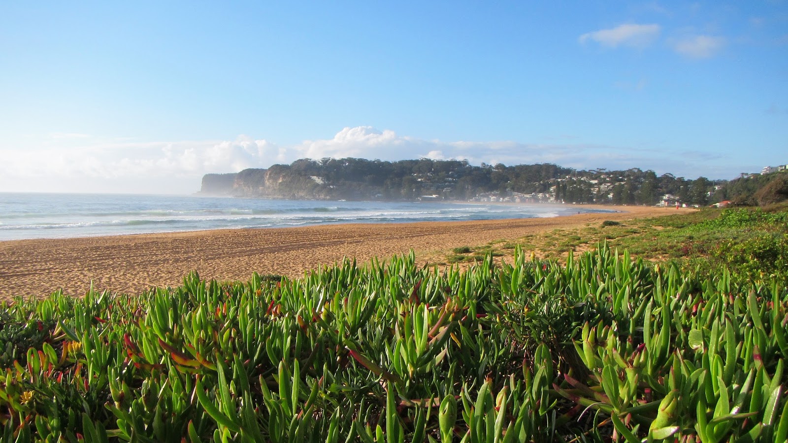 ROCK'S ADVENTURES: AVOCA LAGOON KAYAK - BOUDDI MTB - NORTH AVOCA BEACH ...