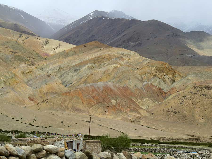 Just About Everything: Birds, Mammals, and Landscapes from the scenic ...