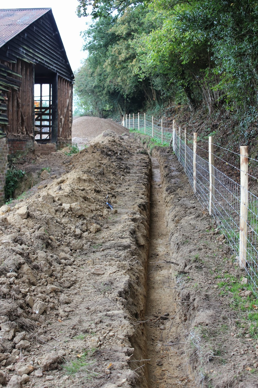 Barn Girl: Day 3 - Naked Barn