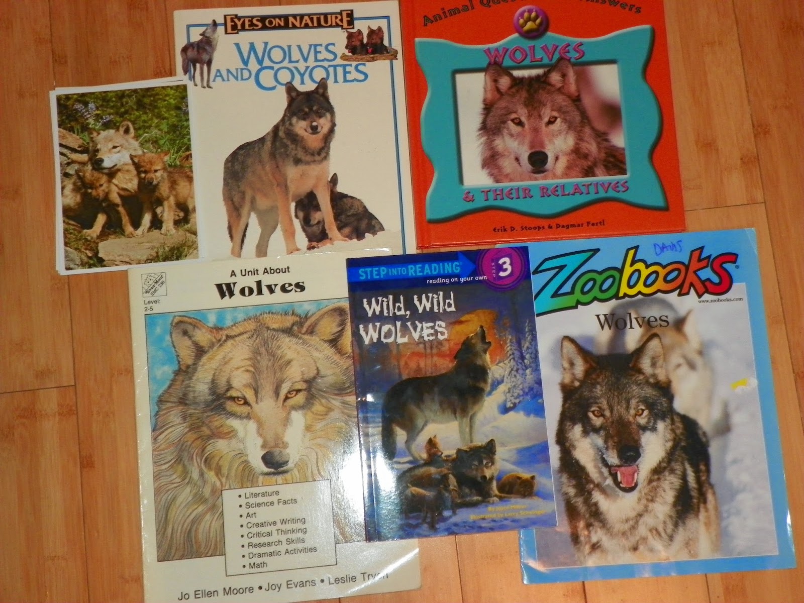 The Little Sewing Shop: Wolves Unit Study and Lapbook