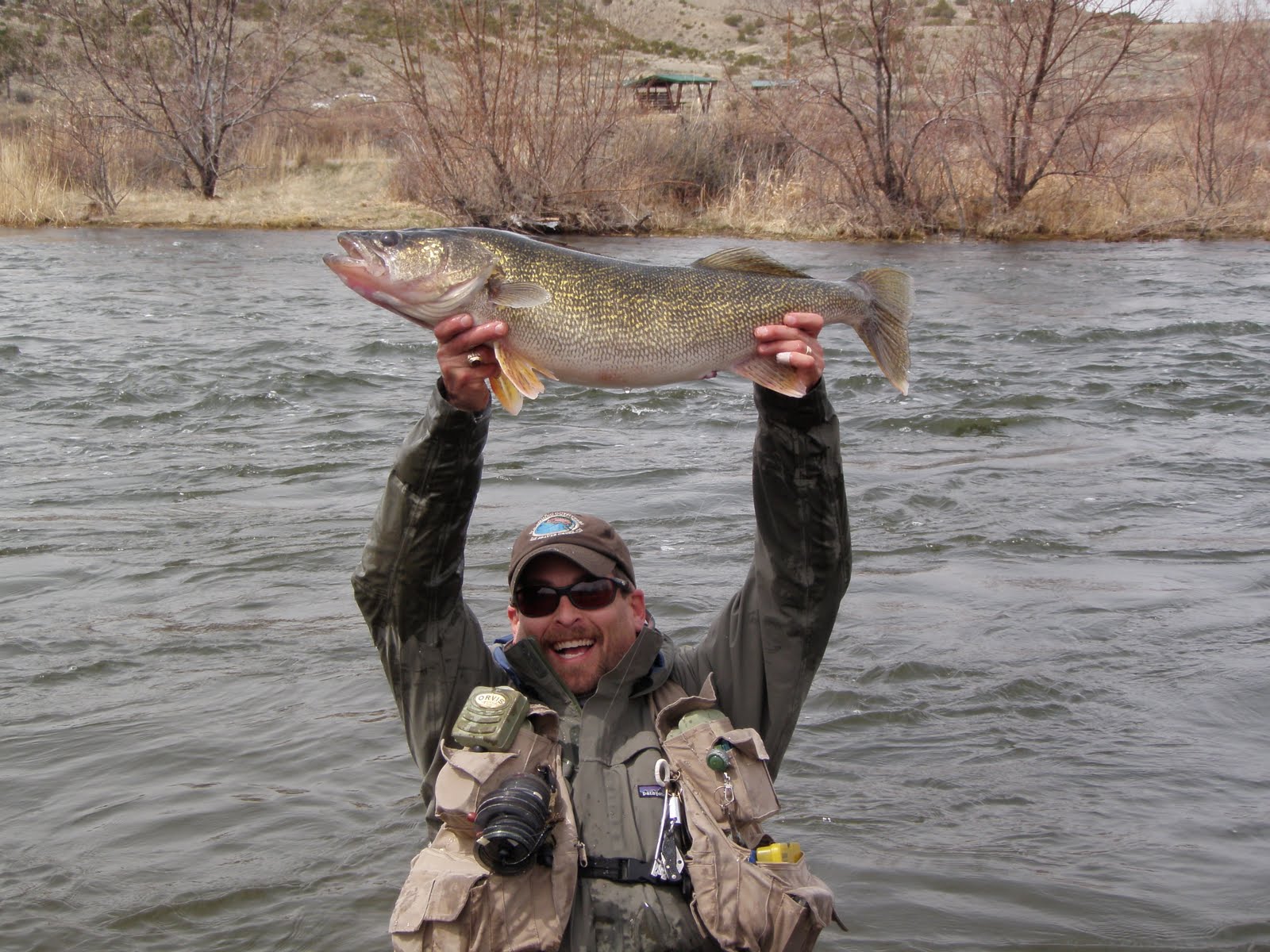 Wyoming Fly Fisher: Big Walleye on Grey Reef!