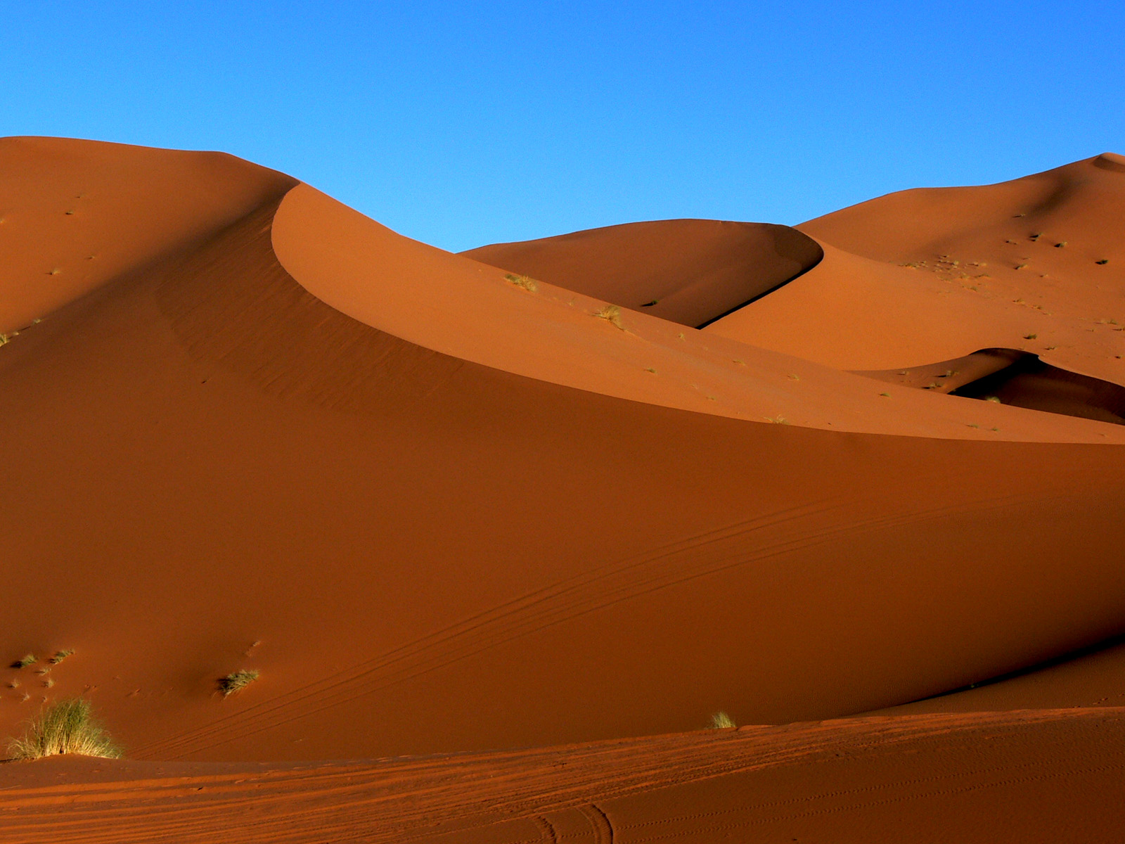 desierto del sahara : terrenos deserticos
