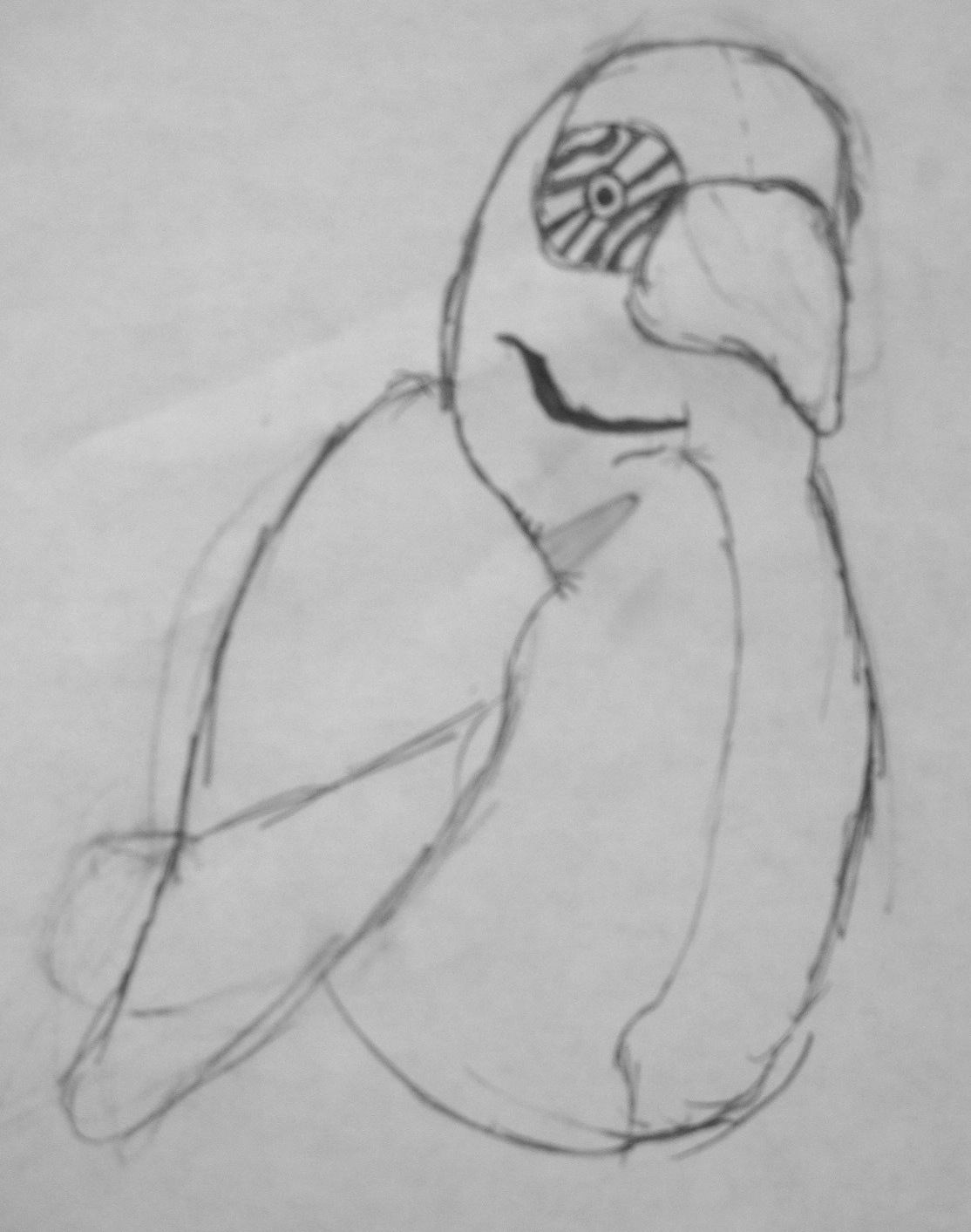 DMS ART: The 5 Skills of Drawing