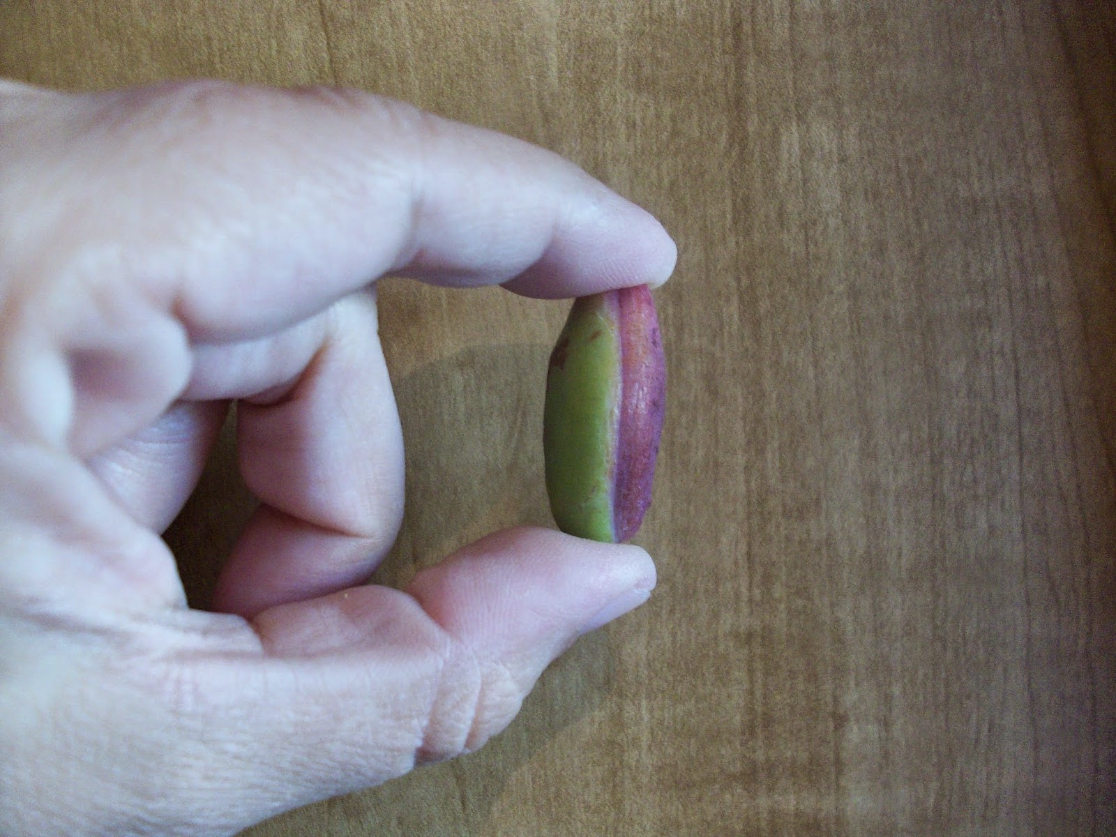 BigFamiliesBigIdeas: My Plum Tree