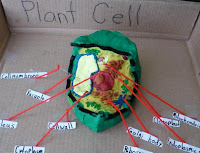 Cell Structure & Function: Build a Cell