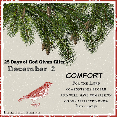 Little Birdie Blessings : 25 Days of God Given Gifts ~ Day 2
