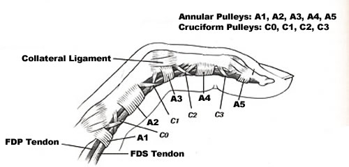 Galgbacken bloggen: Stukat finger