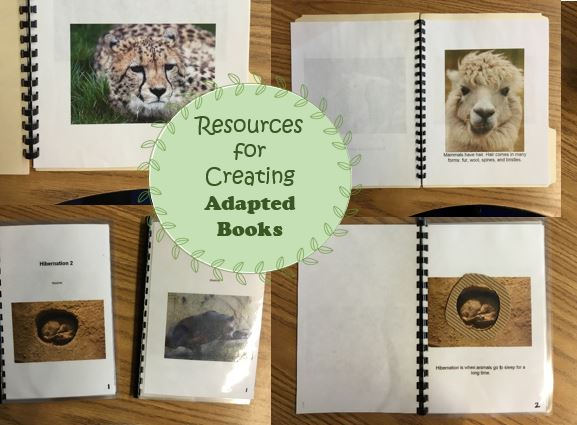 Little Miss Kim's Class: Resources for Creating Adapted Books in ...