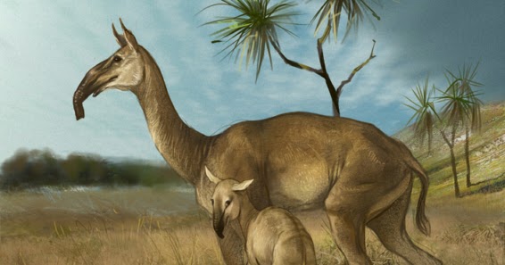 Extinct Animal of the Week: What About the Nose