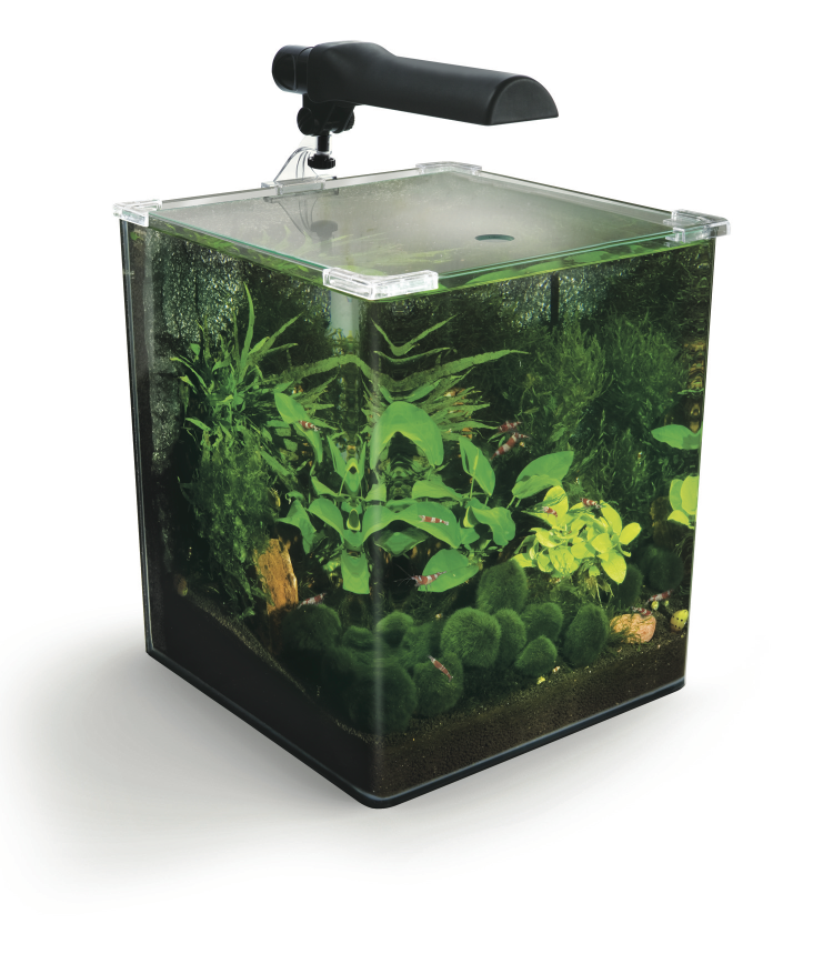 My Aquarium Story: Fluval Ebi Nano Shrimp Habitat Aquarium Kit