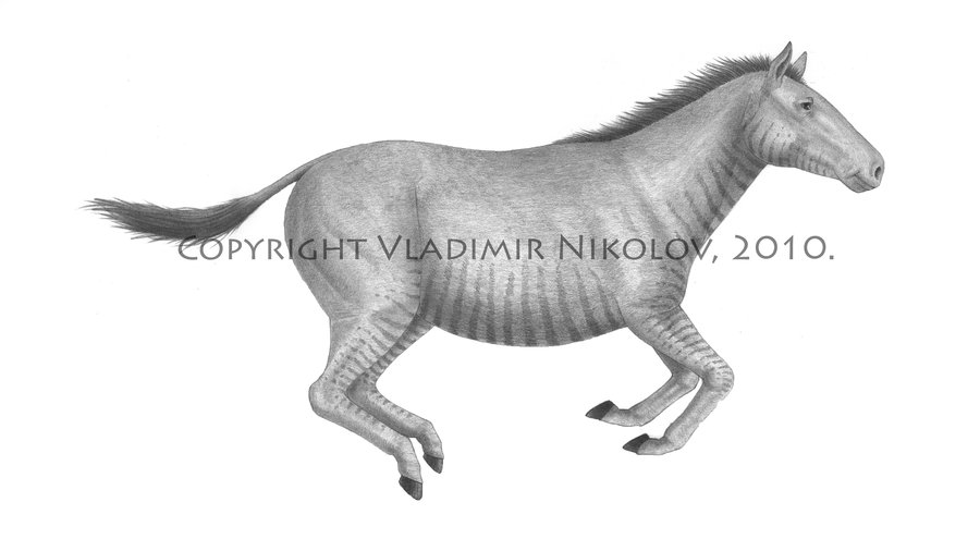Escenarios prehistóricos: Pliohippus